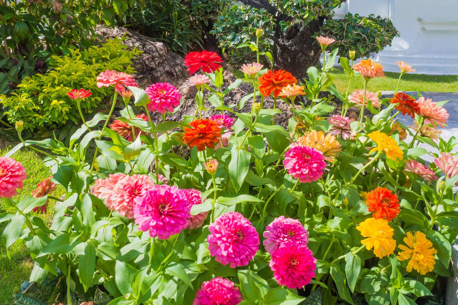 What are FIFRA 25(b) Exempt Minimum Risk Pesticides? – Lost Coast Plant ...