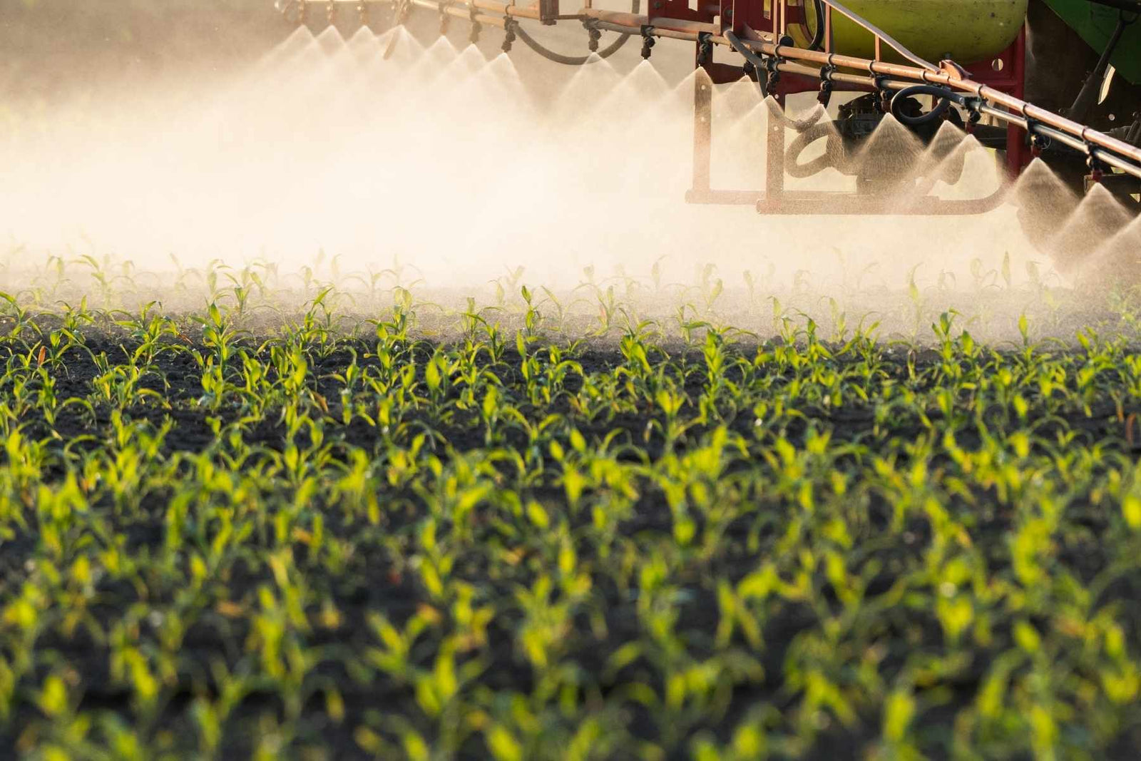 Understanding the Types of Pesticides and Their Impact – Lost Coast ...