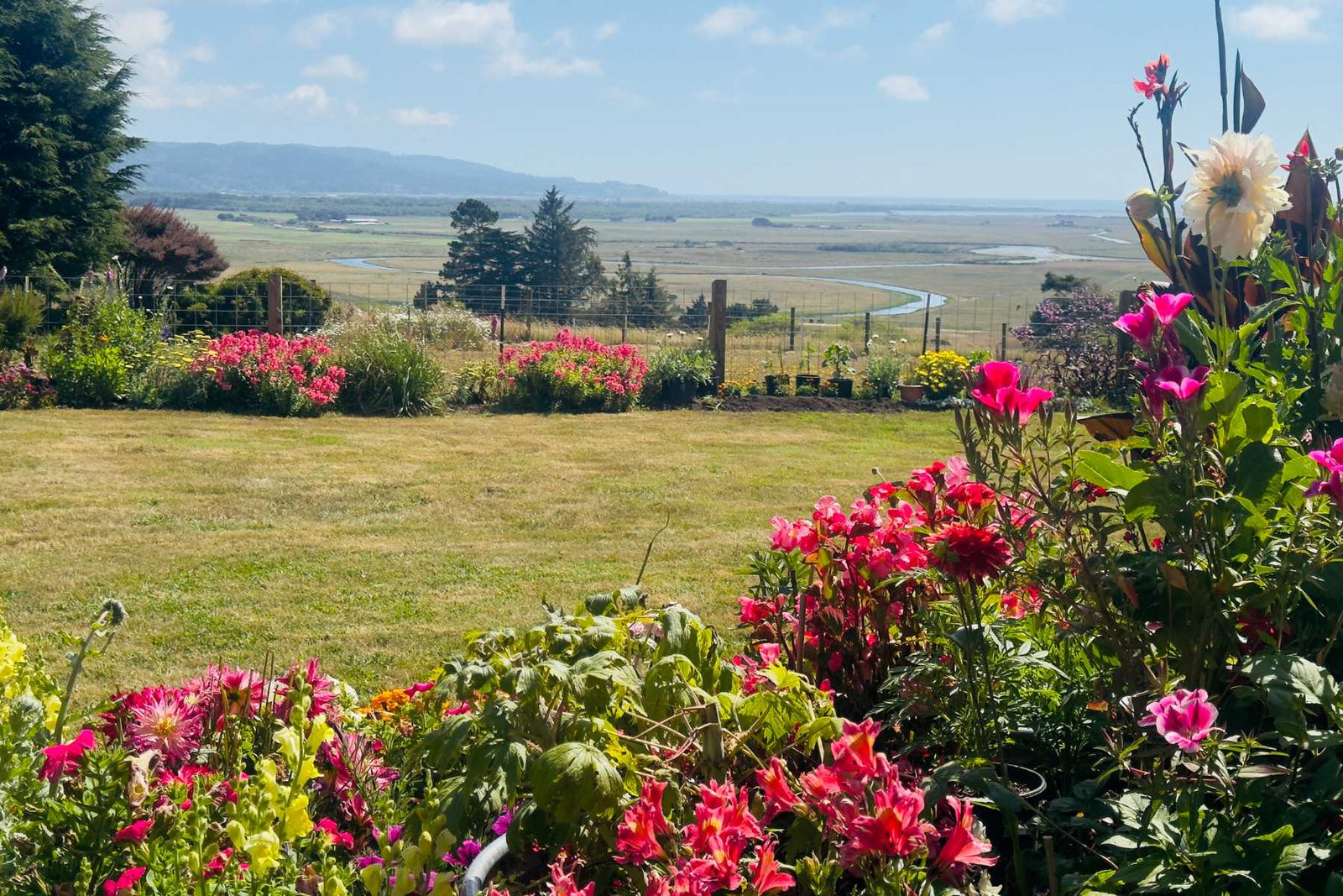 Zone 9a – Lost Coast Plant Therapy