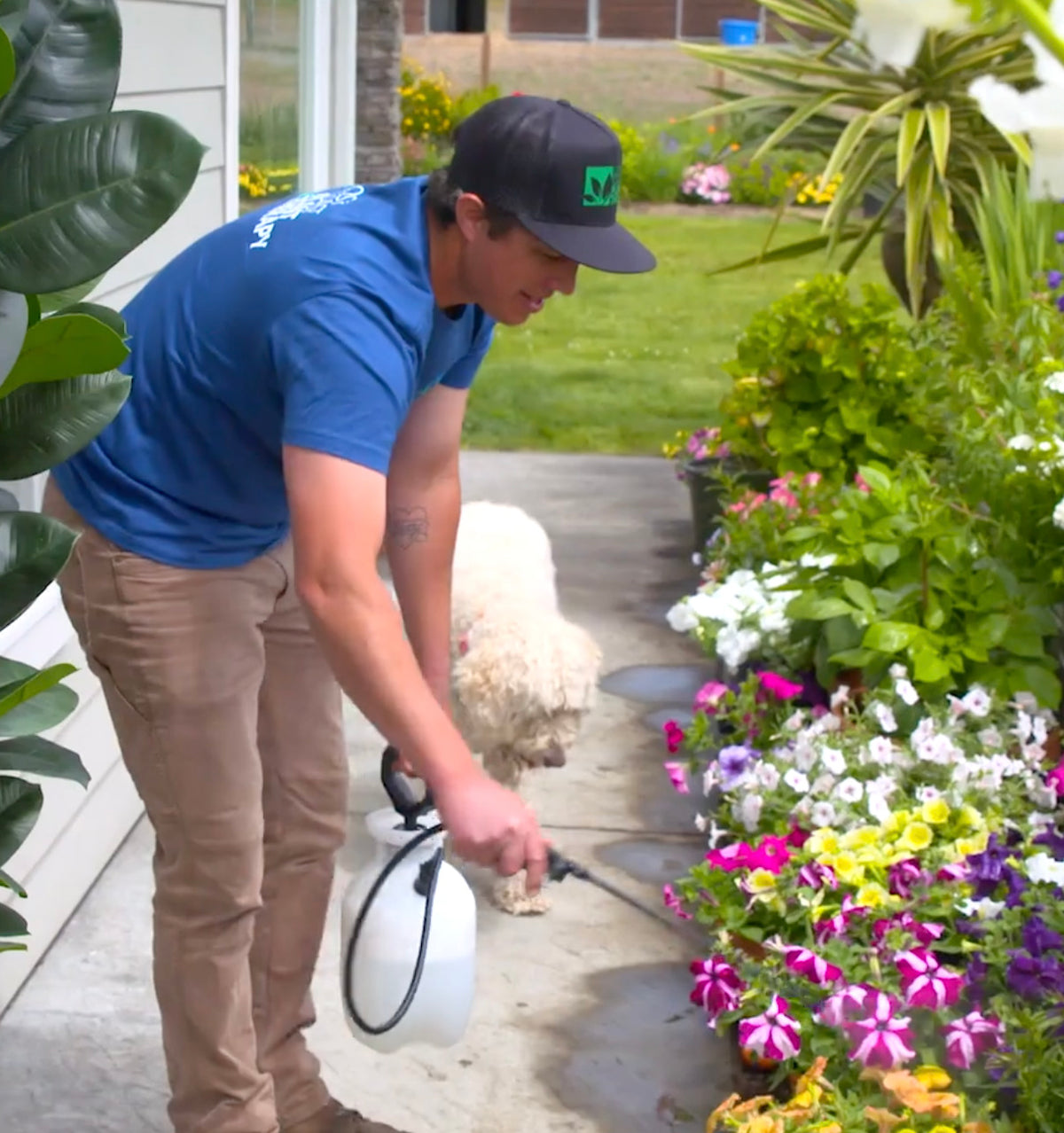 Instructions – Lost Coast Plant Therapy